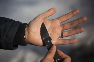 Boker Plus Nopal Folding Knife Review