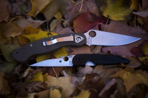 What Are the Best Spyderco Knives? (Top EDCs, Best Value, & More)
